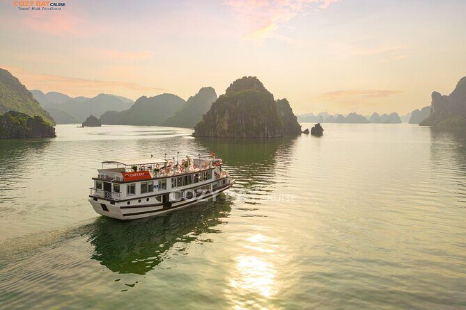Cozy Bay Cruises - Best Boutique Cruise in Halong Bay 2D/1N Tour - Final Thoughts: Is This Cruise Right for You?