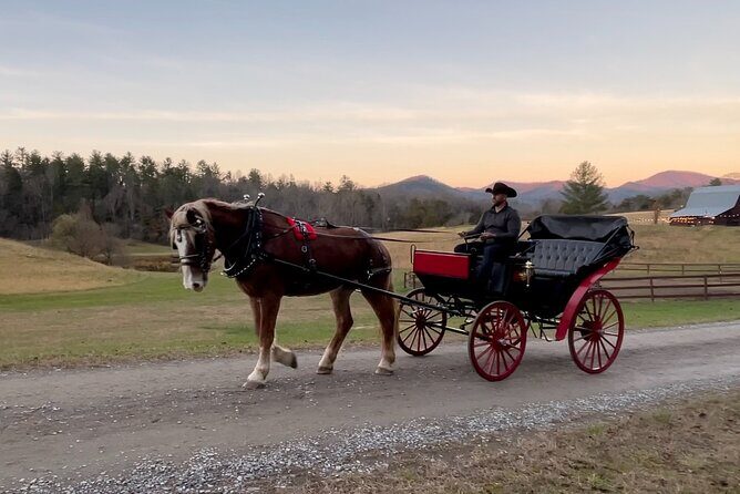 Cozy Farm Experience with Wagon Wheels and Acoustic Meal - Who Will Love This Experience?