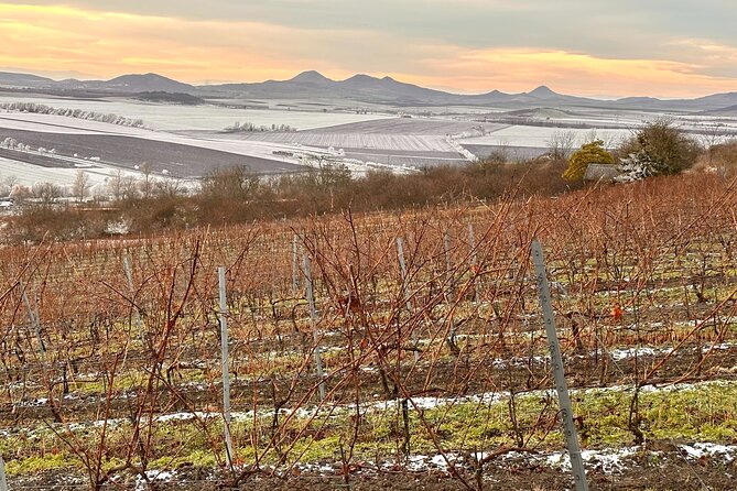 Cozy Winter Countryside Tour 4x4: Experience Authentic Bohemia - The Sum Up