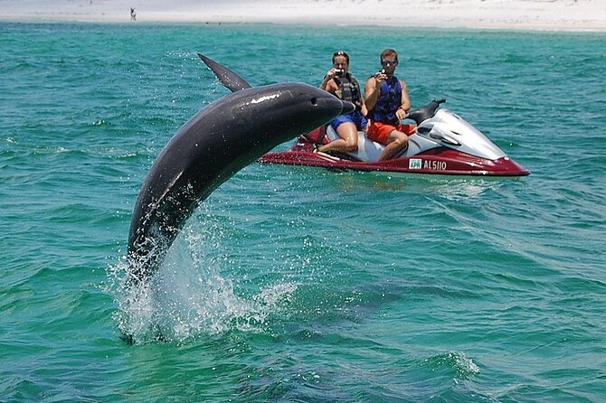 Crab Island Dolphin Jet Ski Adventure - The Real Experiences of Other Travelers