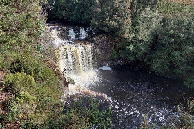 Cradle Mountain: Burnie Shore Excursion - FAQ