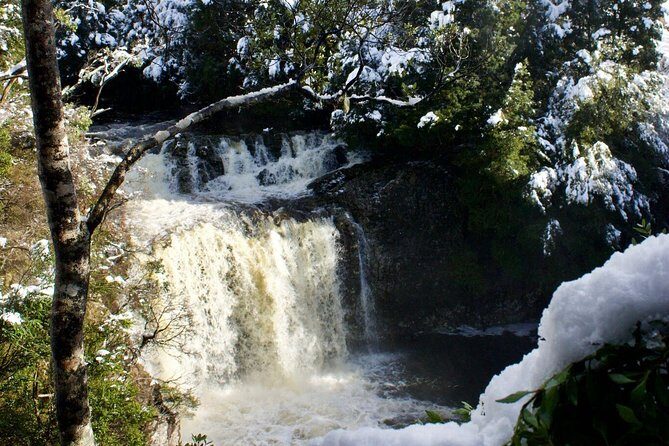 Cradle Mountain Day Tour from Launceston Including Lunch - A Closer Look at the Itinerary