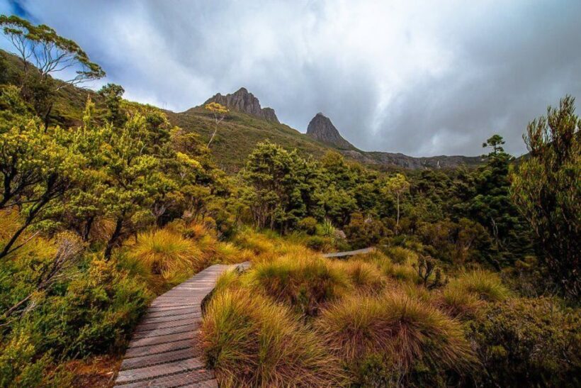 Cradle Mountain: Day Trip from Launceston with Lunch - The Itinerary: From Launceston to Cradle Mountain