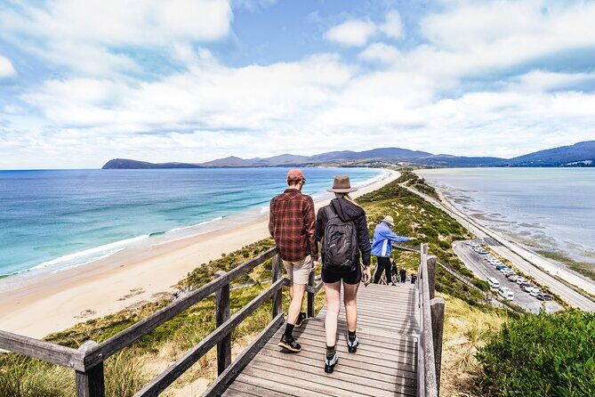 Cradle Mountain OMG! Hobart to Cradle Active Day Trip - Who Should Consider This Tour?