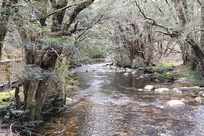 Cradle Mountain Sightseeing Tour from Devonport or Burnie - A Detailed Look at What You Can Expect