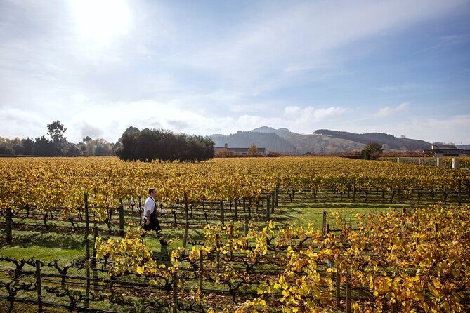 Craggy Range Deluxe - Hawke's Bay Wine Tour - Summary: Why Choose the Craggy Range Deluxe?