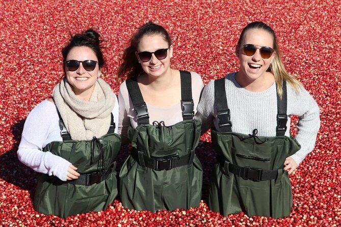 Cranberry Plunge and Hardy Lake Hike Adventure - Key Points
