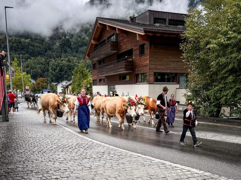 Crash Landing on You: Switzerland Day Tour From Zurich - Since You Asked