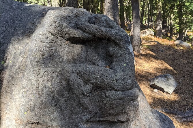 Crater Lake Day Shared Tour - Authentic Experiences and Highlights