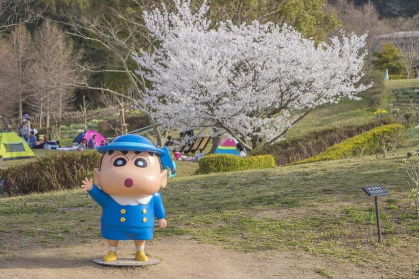 Crayon Shinchan Adventure Park Entry Ticket - What to Expect at the Park