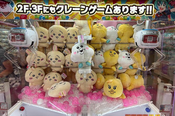 Crazy About Anime! Private Full Day Tokyo Manga Anime Tour by Chartered Vehicle - Pickup Information