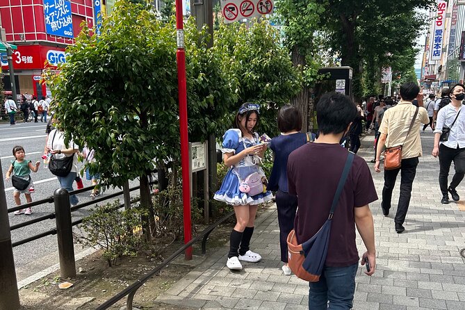 Crazy About Anime! Private Full Day Tokyo Manga Anime Tour by Chartered Vehicle - Highlights of the Tour