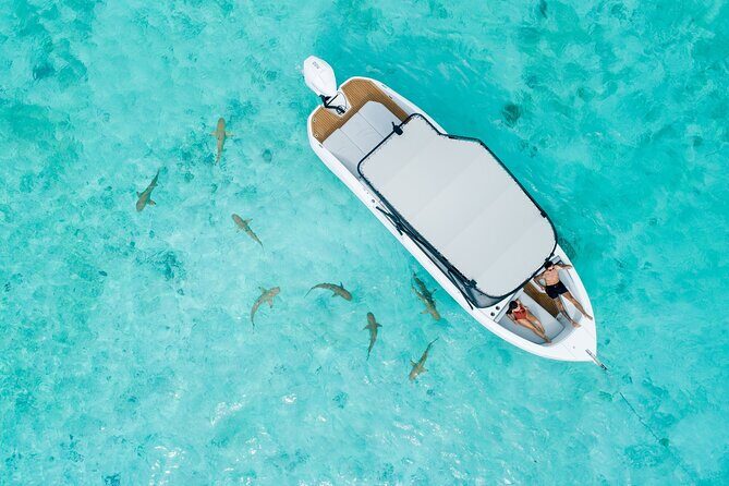 Crazy sea horse Private Sunset Tour in Bora Bora - Who Should Consider This Tour?