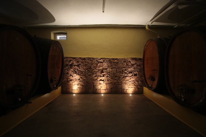 Crazy senses! - The Guided Cellar Tour and Its Value