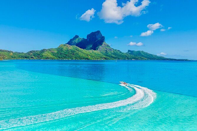 Crazyseahorseborabora Comfortable boat , sensational snorkeling . - Who is This Tour Best Suited For?