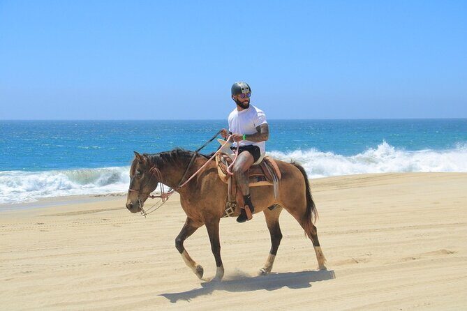 Create your COMBO: Choose 2 of the Best Tours in CABO - What makes this tour stand out?