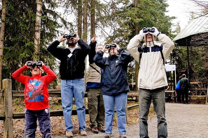Creative Soul Scavenger Hunt Anchorage on the Tony Knowles Trail - How the Experience Works