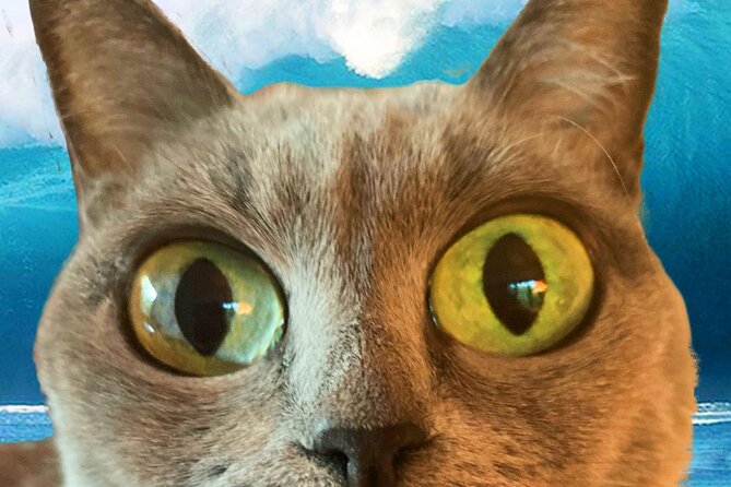 Creative Soul Scavenger Hunt of Hanalei Kauai - Engaging with Locals and the Stories You’ll Hear