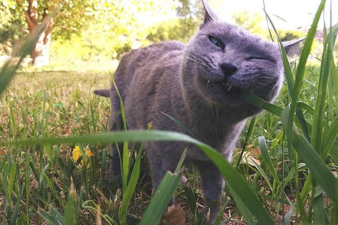 Creative Soul Scavenger Hunt of Santa Fe - The Sum Up