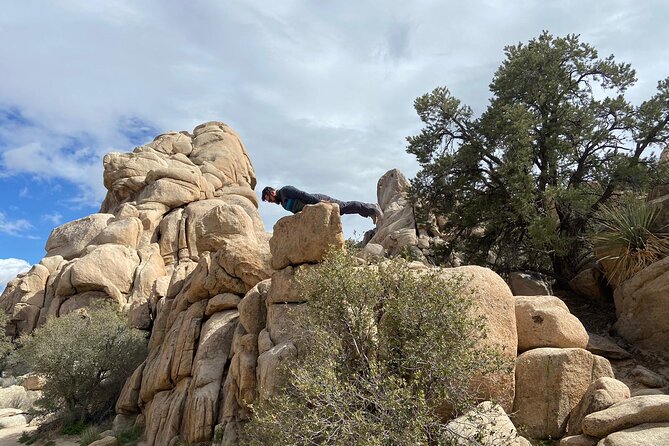 CreativeSoul ScavengerHunt(Hidden Valley,Joshua Tree)Remote Host - What to Expect During the 2-Hour Adventure