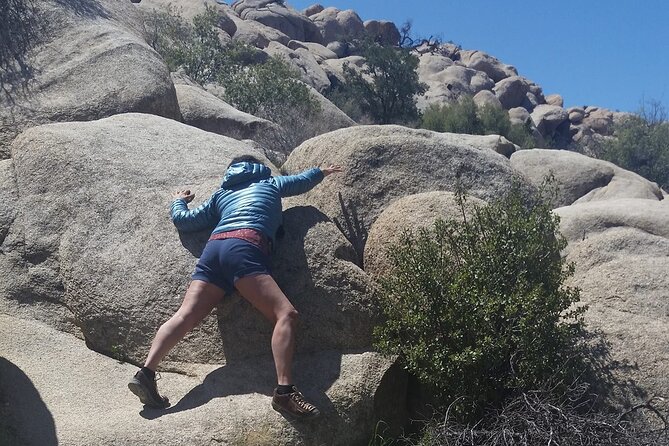 CreativeSoul ScavengerHunt(Hidden Valley,Joshua Tree)Remote Host - Pricing and Value