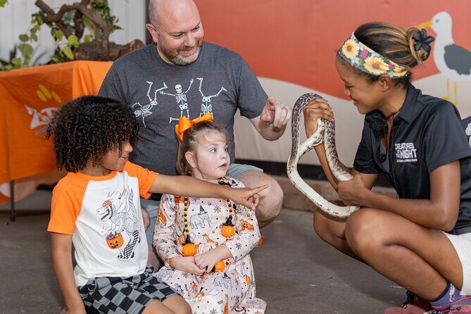 Creatures of the Night - ZooTampa at Lowry Park - An In-Depth Look at Creatures of the Night
