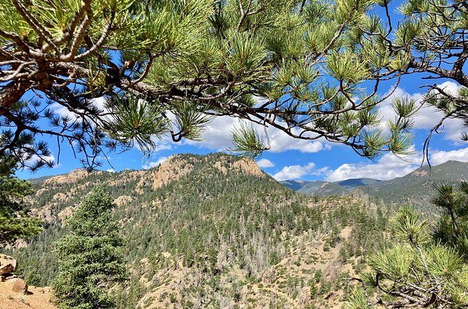 Creek to Peak Hike to Mt. Cutler in Colorado Springs - Real Traveler Insights