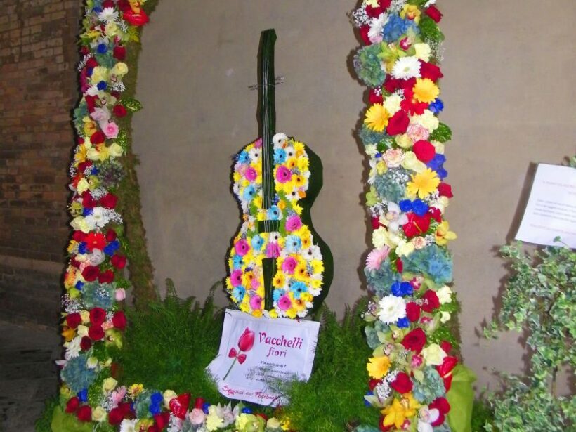 Cremona private city tour with licensed tour guide - Key Points