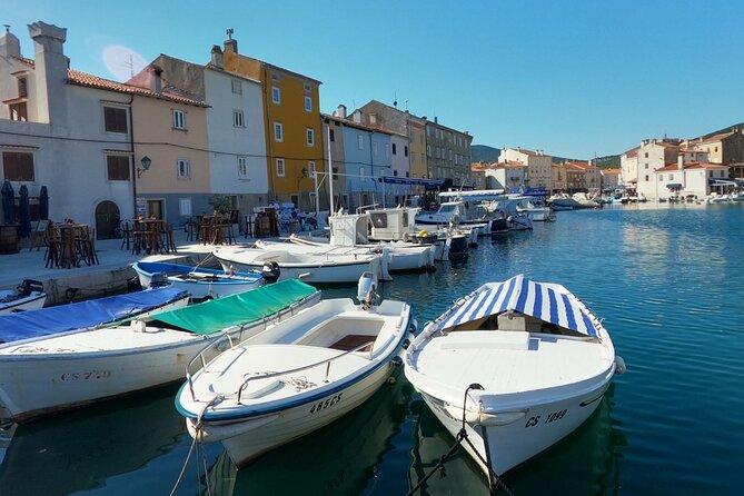 Cres Food Tour with a Local Guide - Who Will Love This Tour?