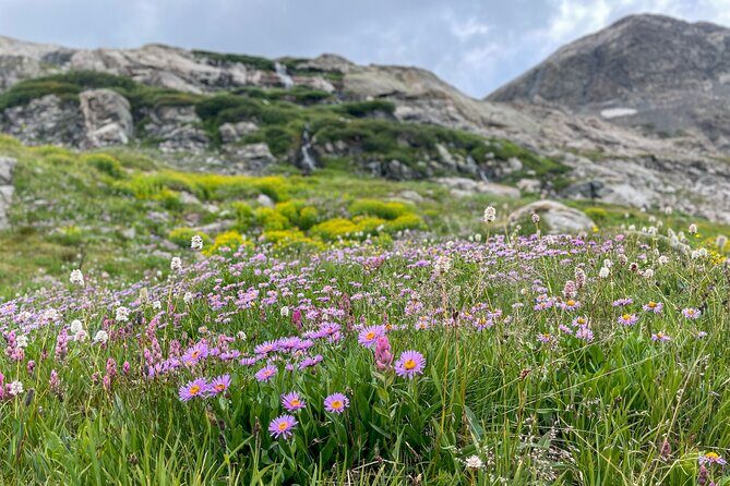 Crested Butte via Cottonwood Pass Private Colorado Adventure Tour - Key Points