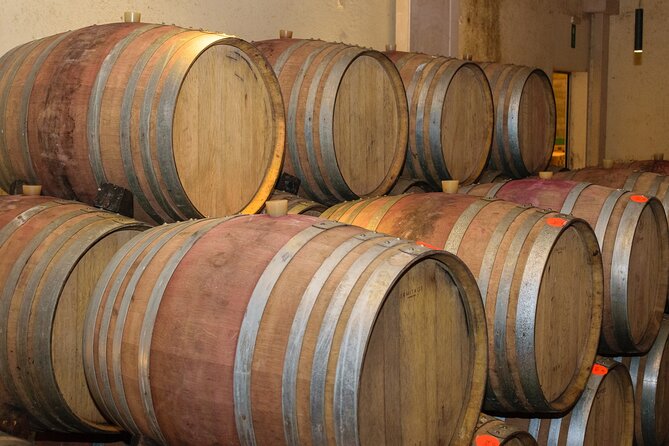 Cretan Delights - Wine, Olive Oil & Cooking Workshop From Chania - Discovering Cretan Olive Oil