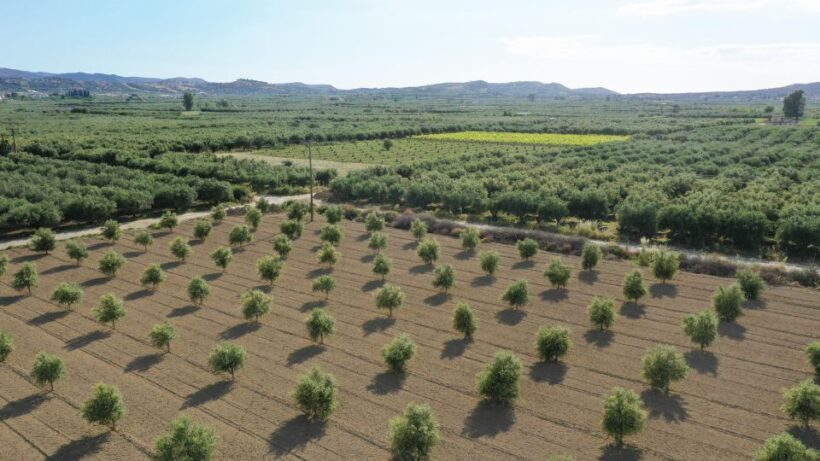 Cretan Farm Tour with Cheese-Making & Food Picnic - A Genuine Taste of Crete’s Farming Life