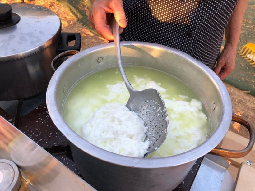Cretan Farm Tour with Cheese-Making & Food Picnic - What’s Included and What to Expect