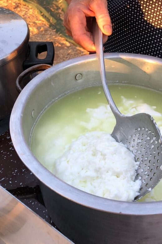 Cretan Farm Tour with Cheese-Making & Food Picnic - The Value and Overall Experience