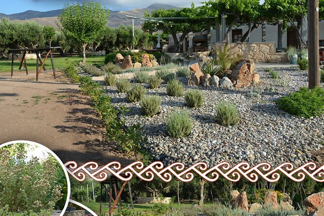 Cretan Traditional Cooking Lessons - Accessibility Options for All Participants