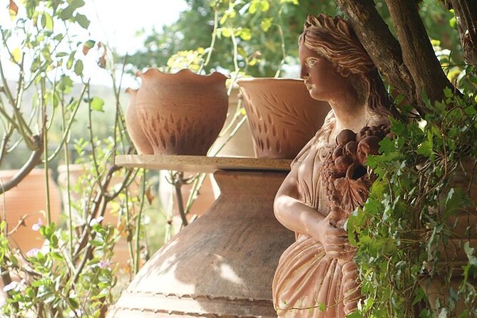 Cretan Wines & Olive Oil Tour - the Treasures of Crete - The Allure of Raki: Cretes Distinctive Distillate