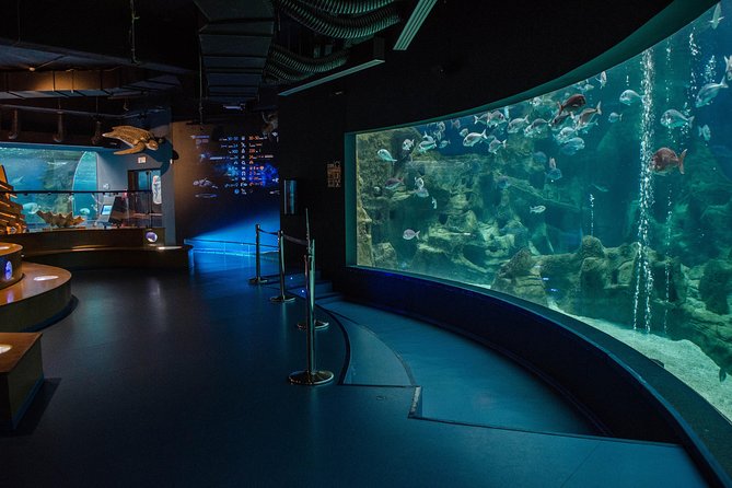CRETAquarium Entrance Ticket in Crete - Visitor Reviews