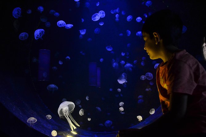 CRETAquarium Entrance Ticket in Crete - Location and Directions