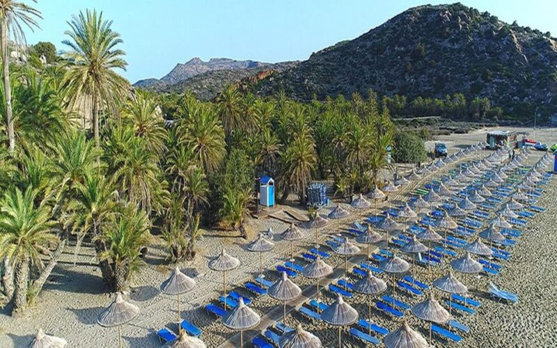 Crete and Heraklion Areas: Direct Day Trip Vai Beach - Value & Price Analysis