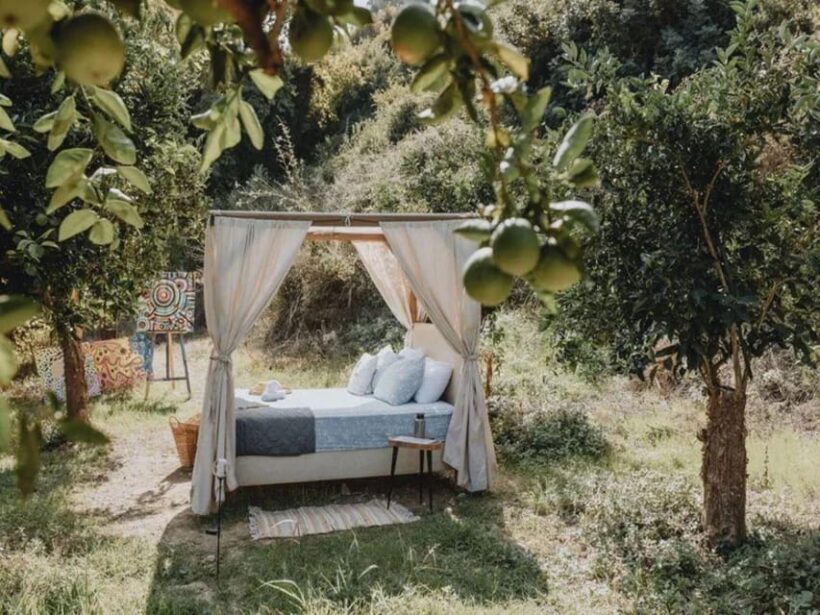 Crete Archanes: Sleep under the stars - What to Expect from the Crete Archanes Sleep Under the Stars Experience