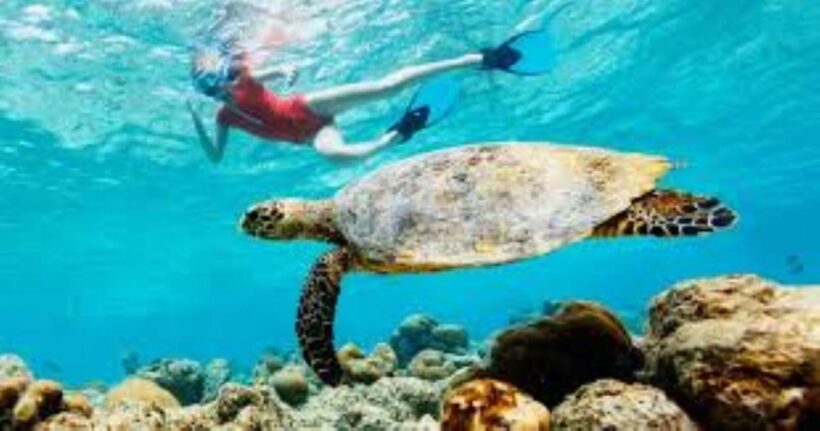 Crete: Coastline Snorkeling Cruise from Hersonissos Port - FAQs
