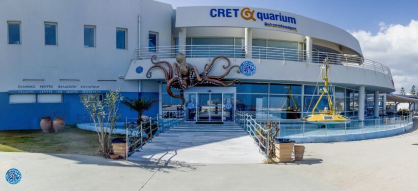 Crete: Heraklion Center, Local Market and Creta Aquarium - Key Points