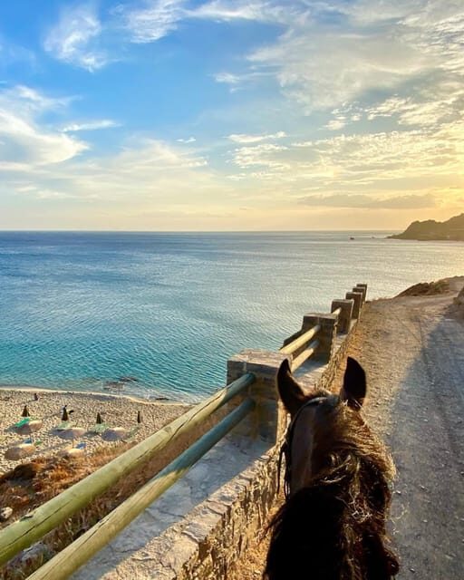 Crete Horse Riding: East Coastline Ride - An Honest Look at the East Coastline Horseback Ride