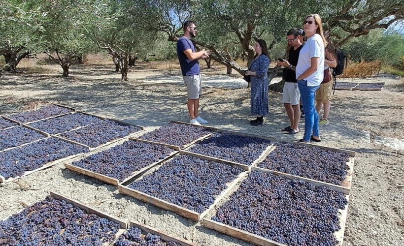 Crete: Knossos Palace, Winery & Olive Oil Tour with Lunch - Final Thoughts