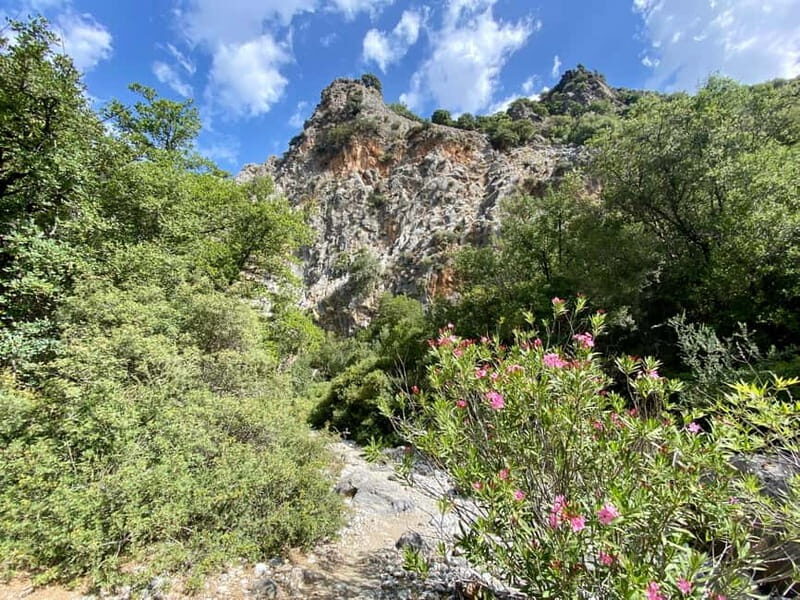Crete: Kritsa Canyon Guided Hiking Tour - Practical Details and What You Need to Know