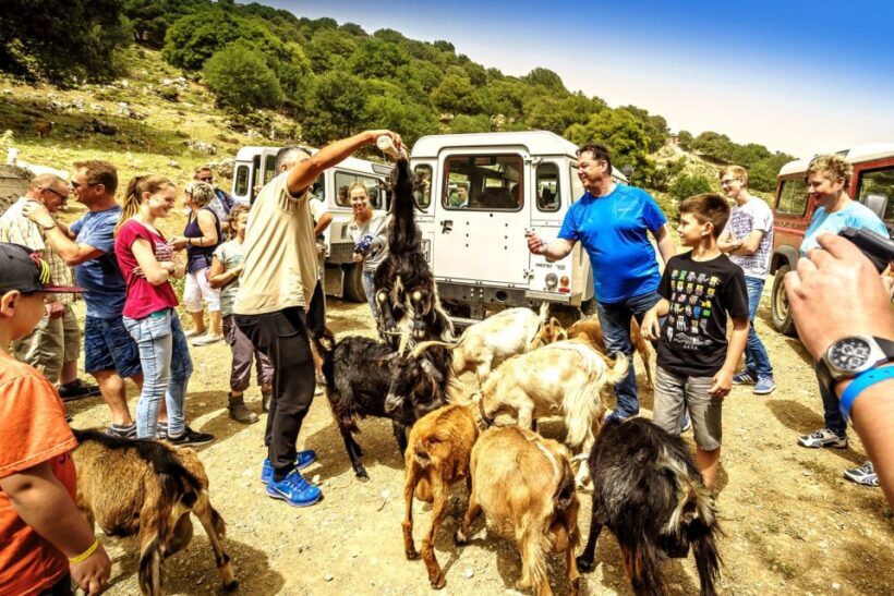 Crete: Land Rover Safari on Minoan Route - A Detailed Look at the Land Rover Safari Experience