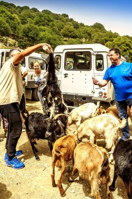 Crete: Land Rover Safari on Minoan Route - FAQ