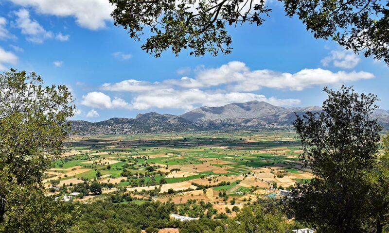 Crete: Lasithi Plateau & Knossos Palace Day Trip - How the Day Unfolds: Itinerary Insights