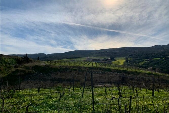 Crete: Olive, Wine, Raki - Flavorful Culinary Journey - Uncovering the Winerys Local Flavors