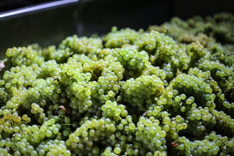 Crete: Olive, Wine, & Raki on a Flavorful Culinary Journey - Who Will Enjoy This Tour?